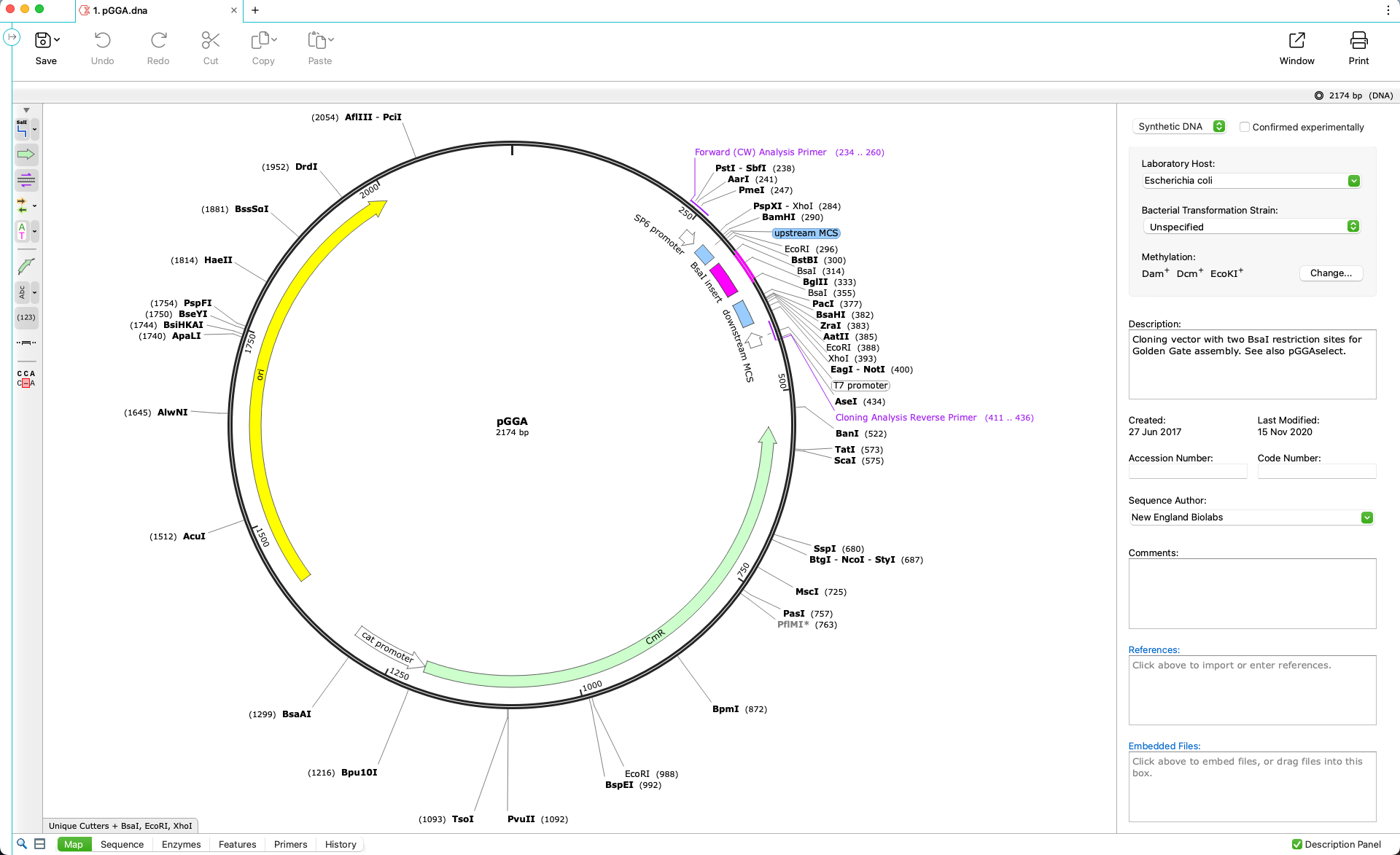 snapgene软件官网_分子克隆_分子生物学软件_未来，会更智能、更快捷