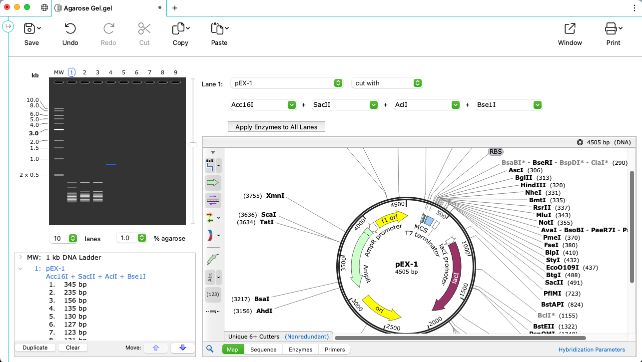Dotmatics SnapGene 分子生物學工具